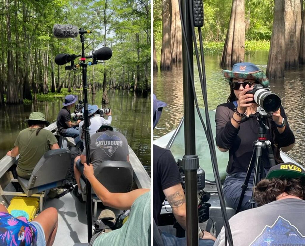 Comment visiter le bayou en Louisiane ? - Les Éclaireurs Du Voyage
