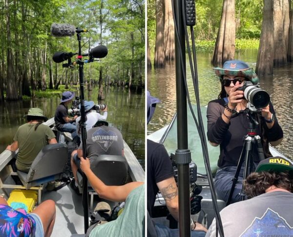 Comment visiter le bayou en Louisiane ? - Les Éclaireurs Du Voyage
